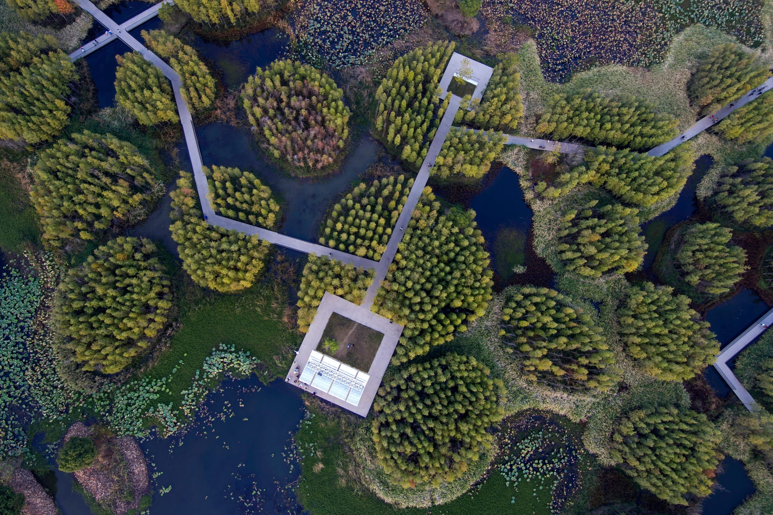 The Chinese Communist Party’s vision of Ecological Civilization: An ...